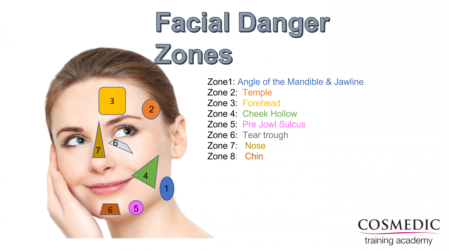 facial zones – Cosmedic Training Academy